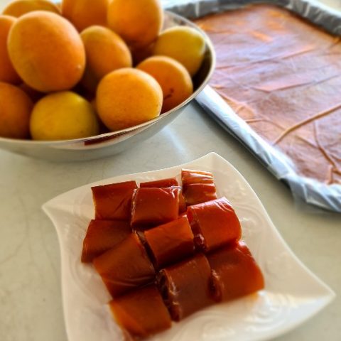 Apricot Fruit Strap - Tricia Stringer